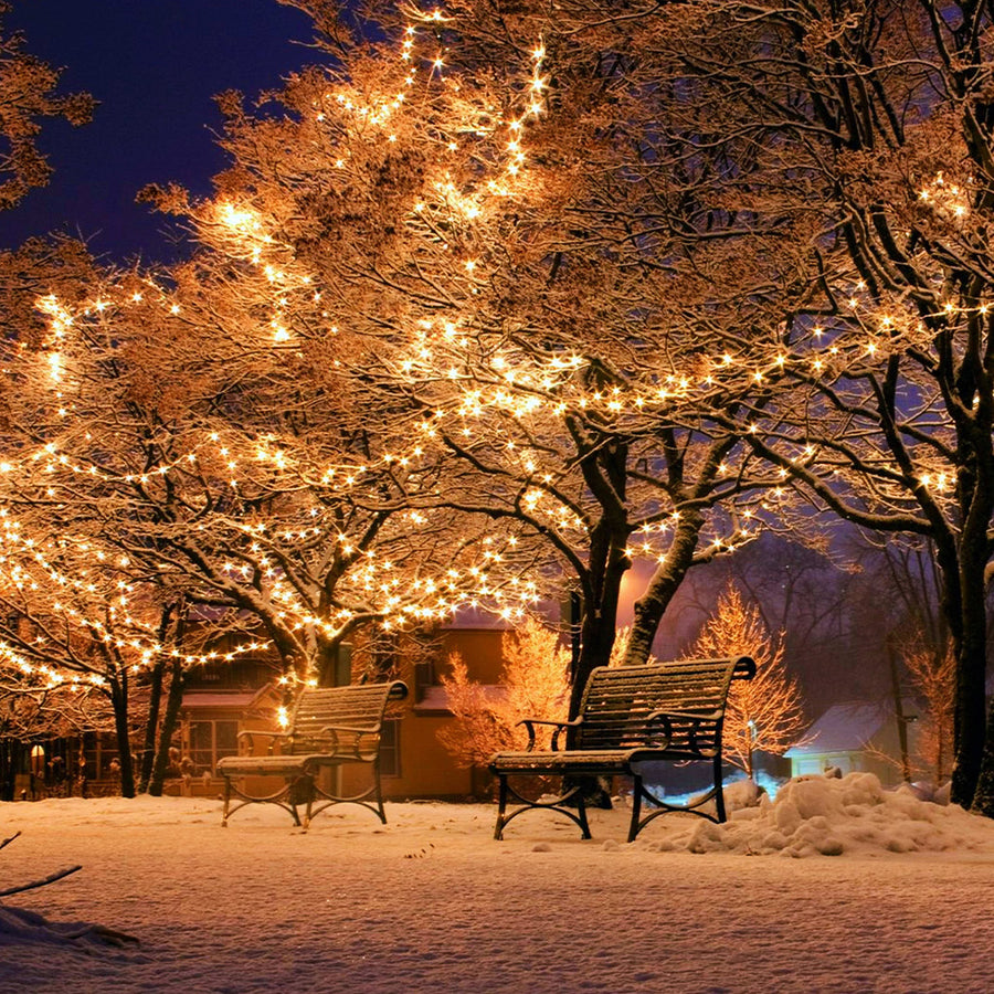 The Green Holiday Gift Guide